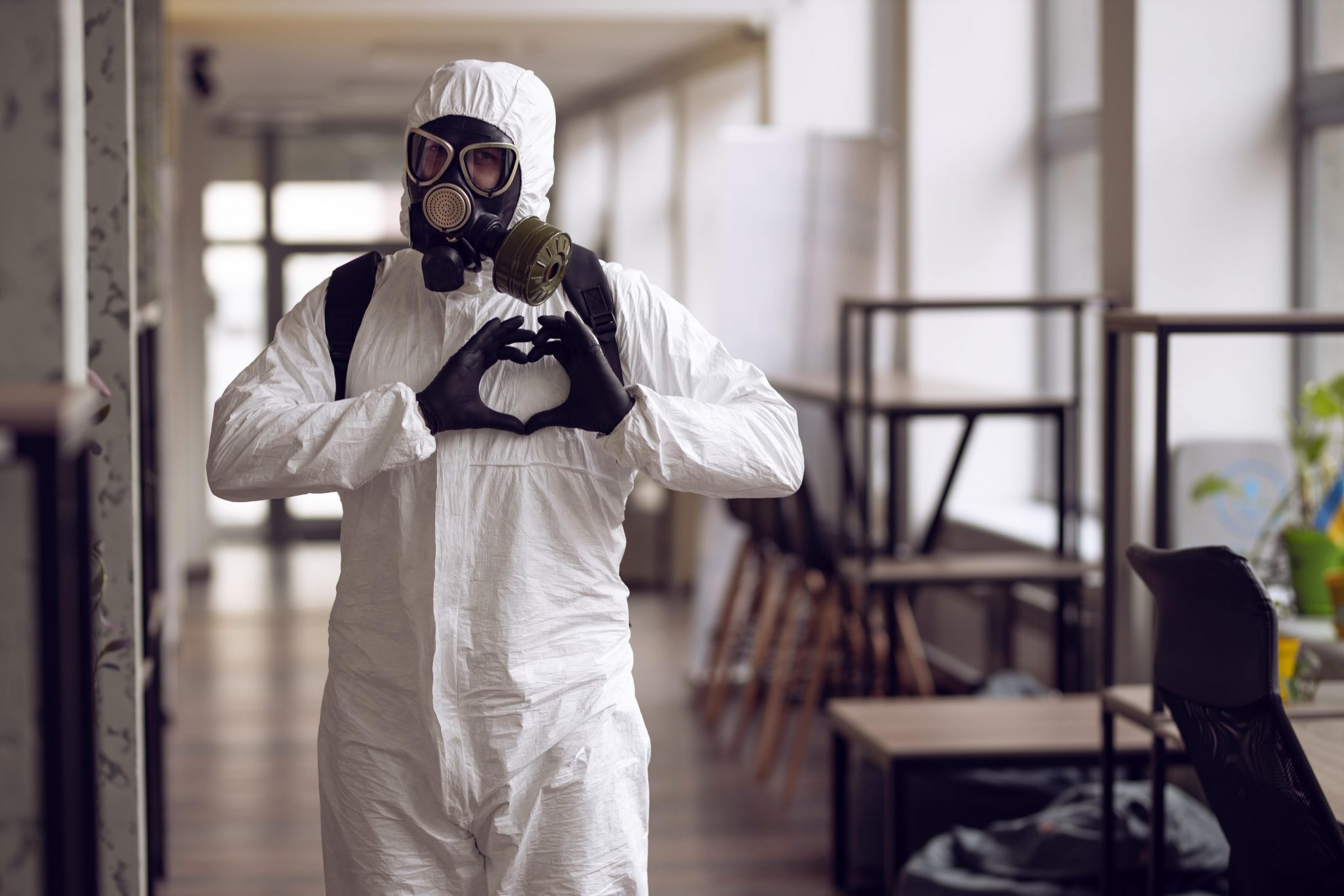 Professional Mold Remediation Services FL - Mold Experts USA