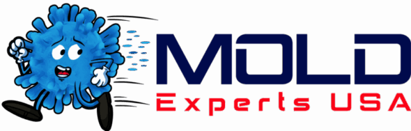 The Microbial Wipe Down Method for Handling Mold. | MOLD Experts USA