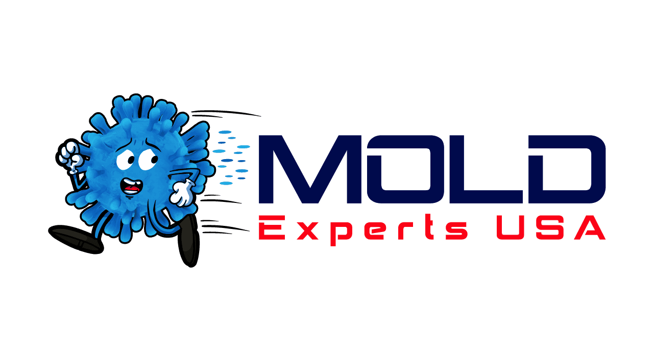 Mold Remediation Services | MOLD Experts USA Mold Remediation Services | MOLD Experts USA